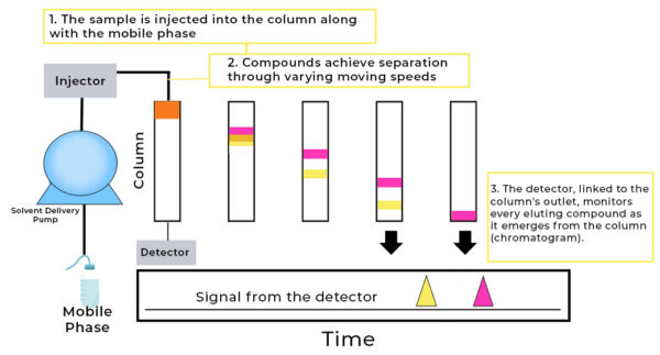 Separation Techniques in HPLC: Exploring the Fundamentals - Conquer ...